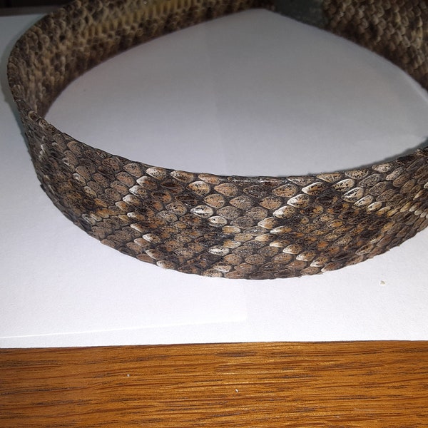 Rattlesnake Hat Band - Etsy