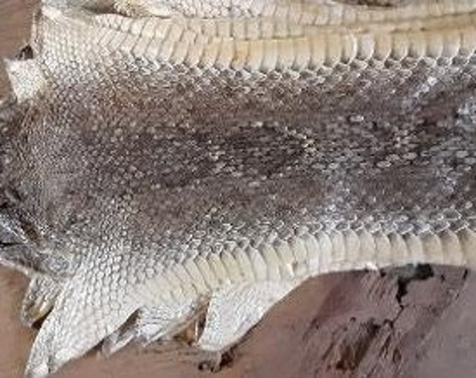 60 Inch Tanned Western Diamondback Rattlesnake Skin With Head - Etsy