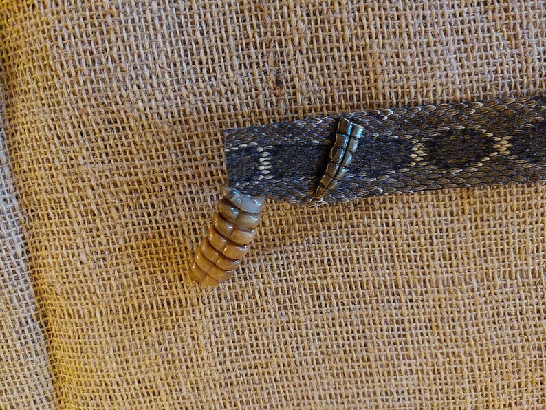 1.25 Rattlesnake Skin Hat Band With Real Cowhide Backing - Etsy