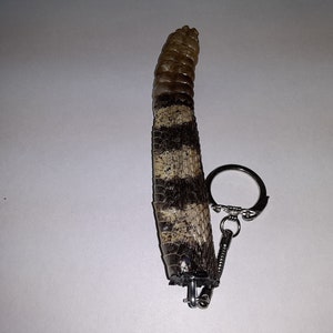 Rattlesnake Tail and Rattle Keychain - Etsy
