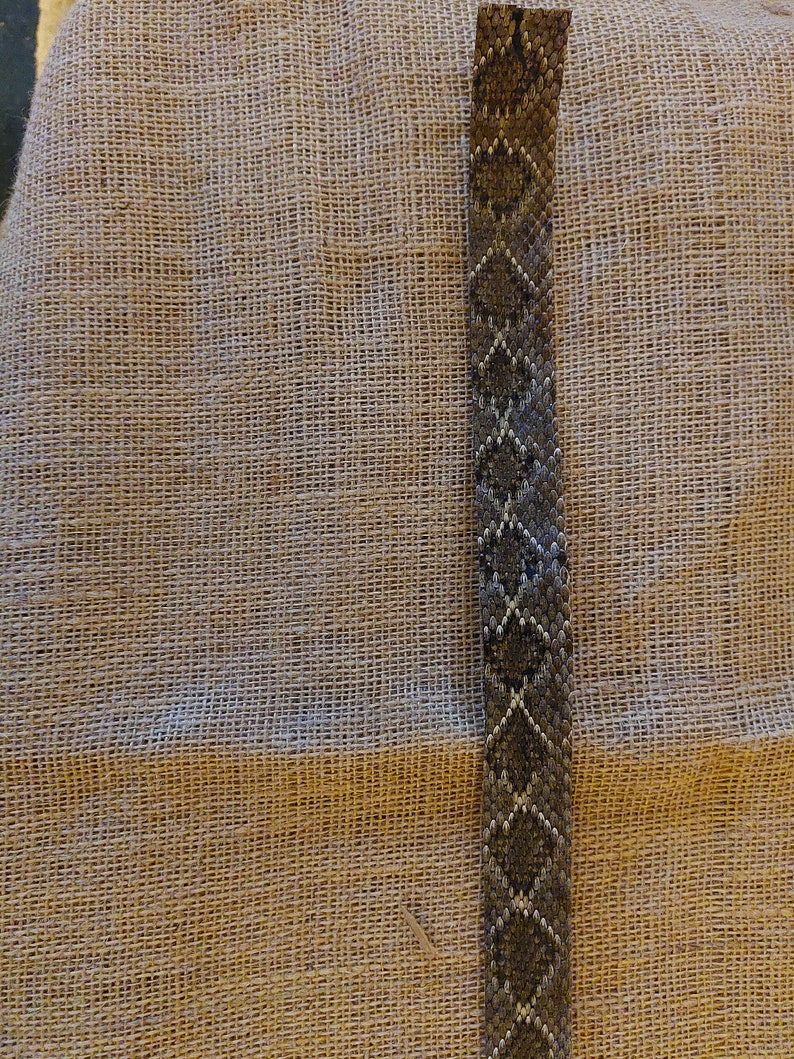 1.25" Rattlesnake Skin Hat Band With Real Cowhide Backing - Etsy