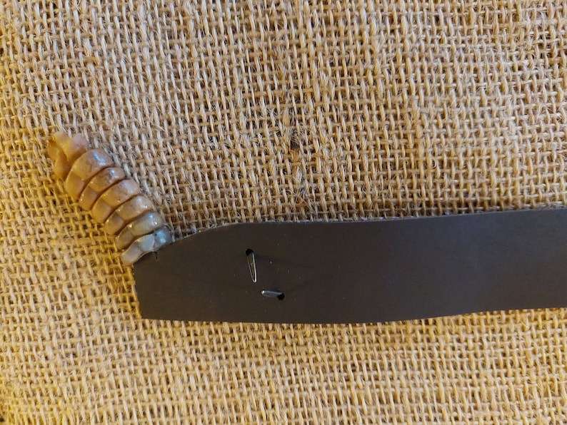 1.25" Rattlesnake Skin Hat Band With Real Cowhide Backing - Etsy