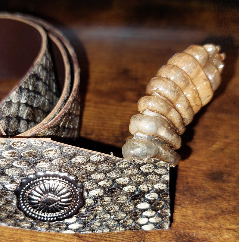 Western Diamondback Rattlesnake 1 Inch Hat Band - Etsy