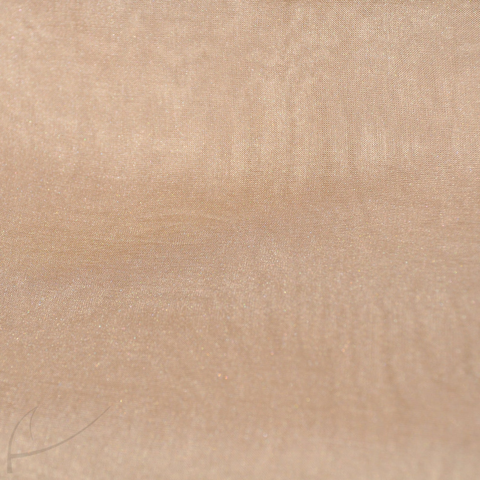 Beige Muslin- Silk Scarf - Etsy