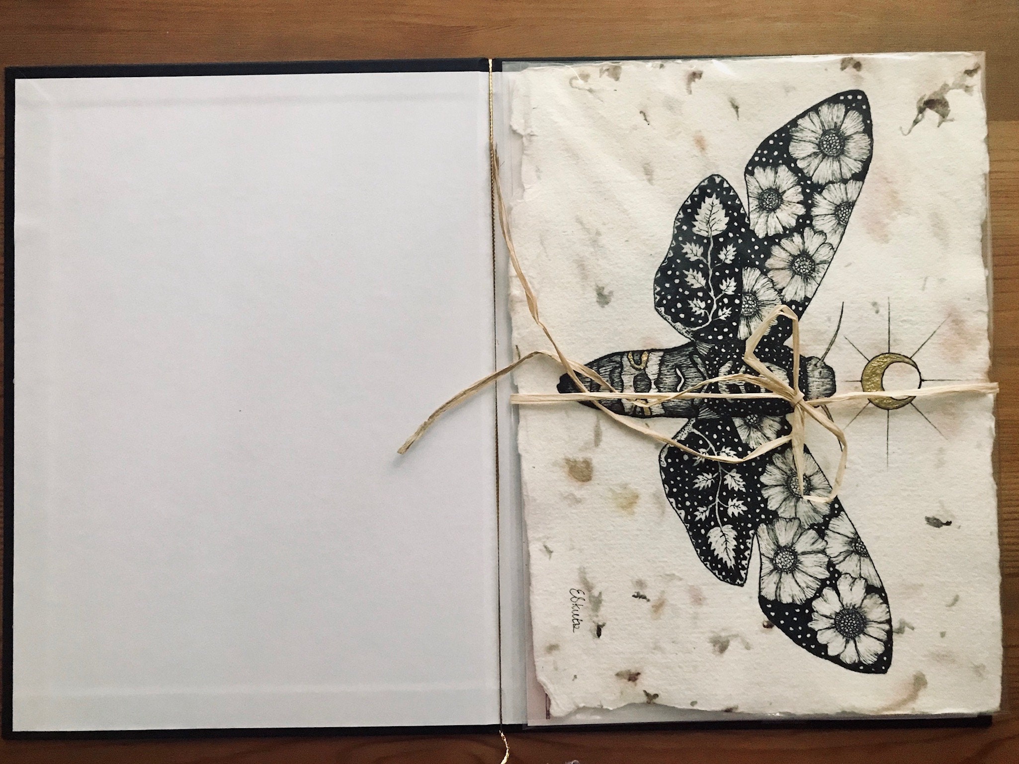 Original moth ink drawing/ moth artwork on handmade paper with | Etsy