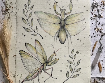 Praying Mantis Bug Stencil for Painting Kids Room Mural - Etsy