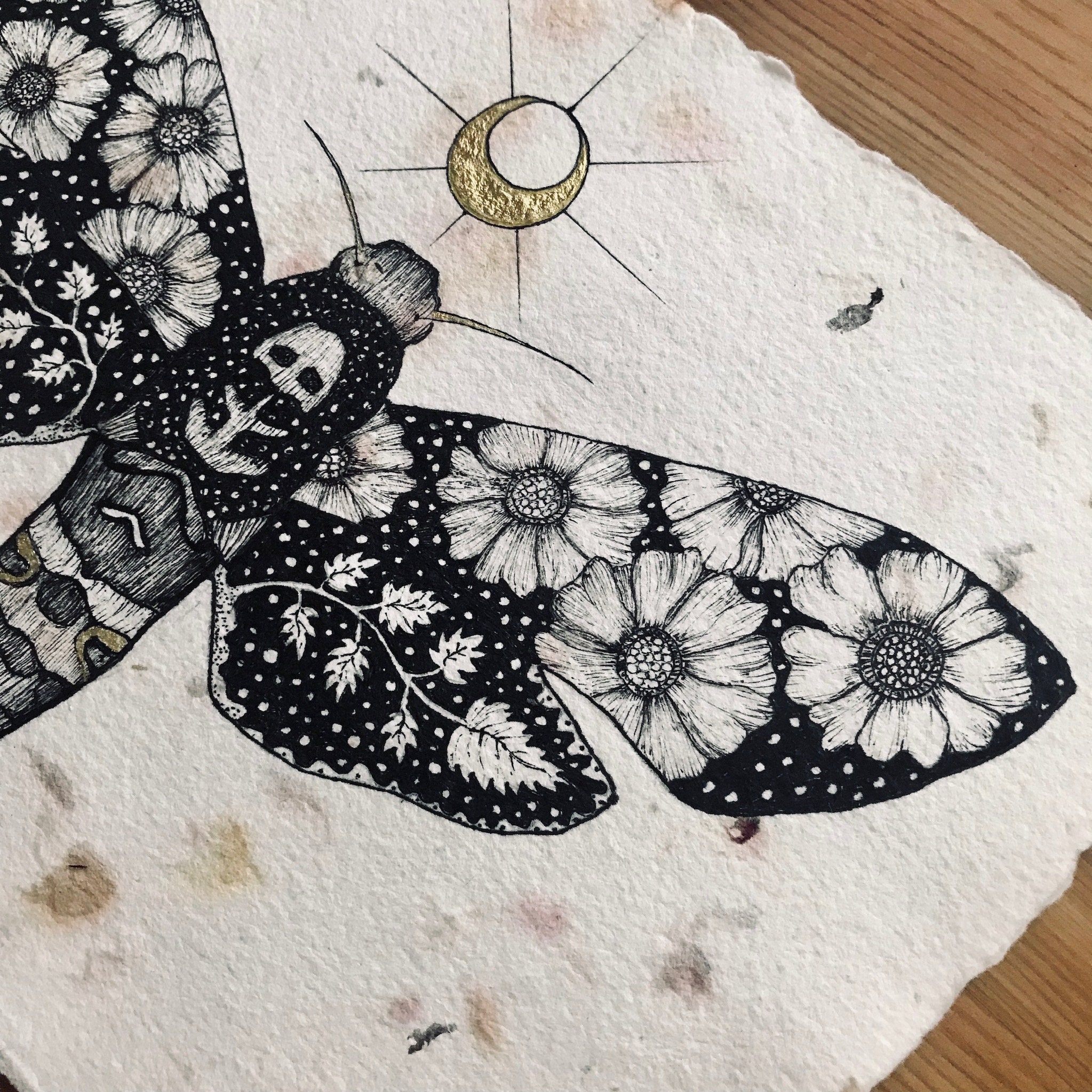 Original moth ink drawing/ moth artwork on handmade paper with | Etsy