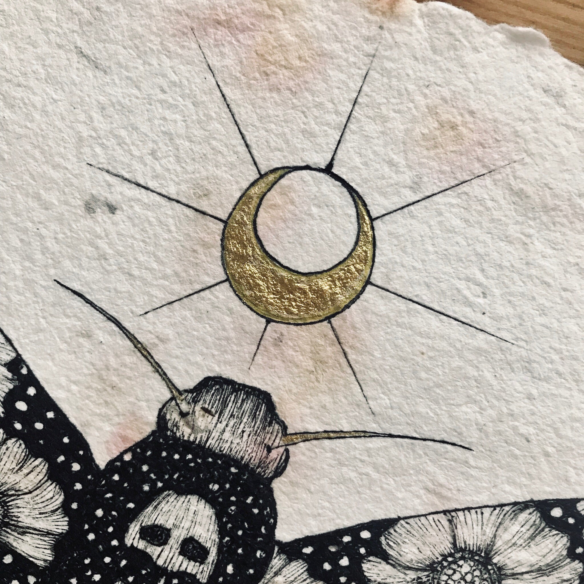 Original Moth Ink Drawing/ Moth Artwork on Handmade Paper With | Etsy ...