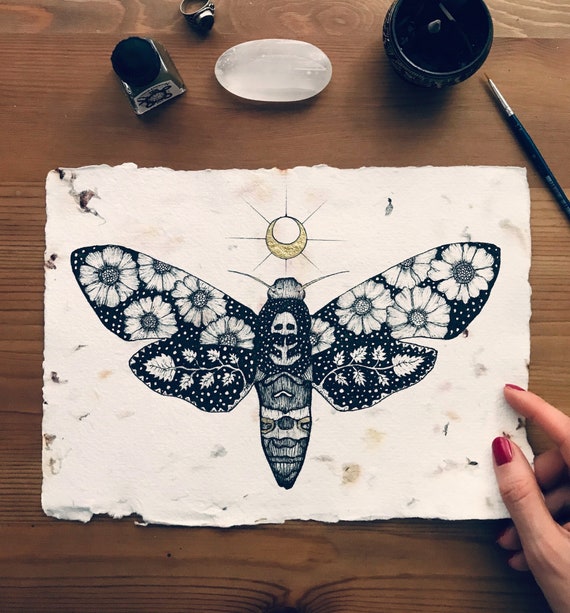 Original Moth Ink Drawing/ Moth Artwork on Handmade Paper With | Etsy ...