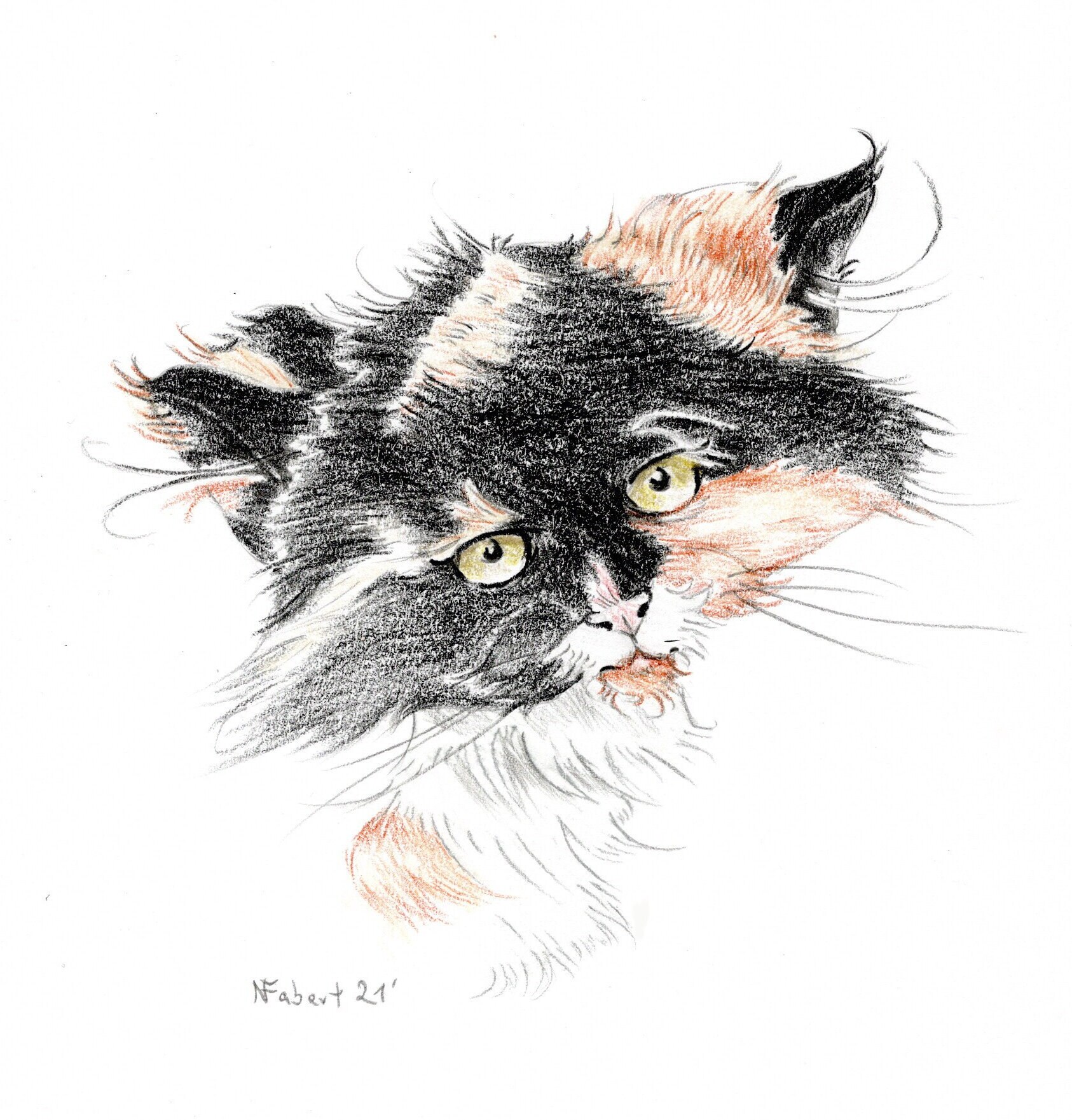 Cat caricature in colour personalized | Etsy