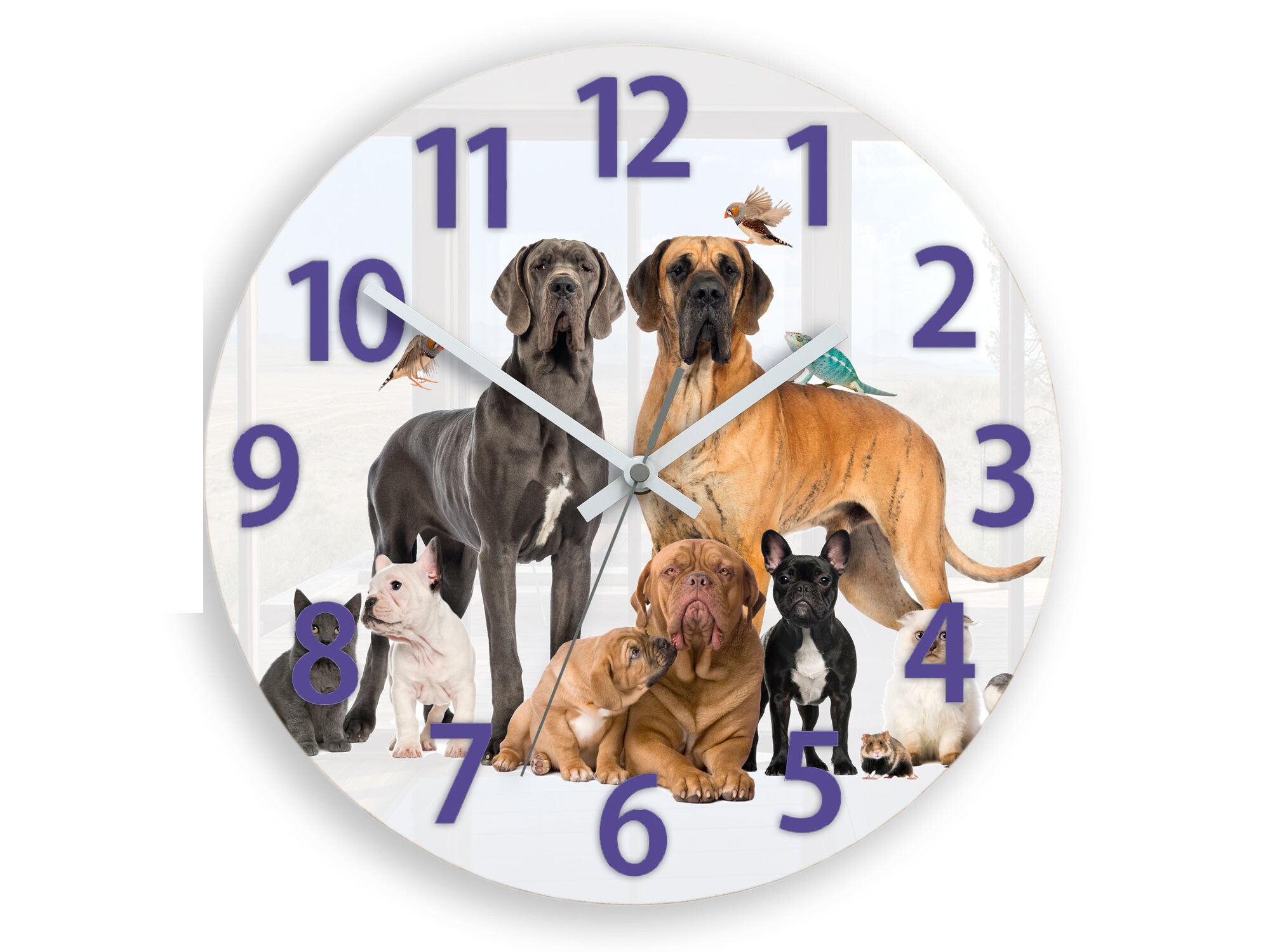Clock dogs Bulldog Great Danewhite Wall Clock New 30 Cm / - Etsy