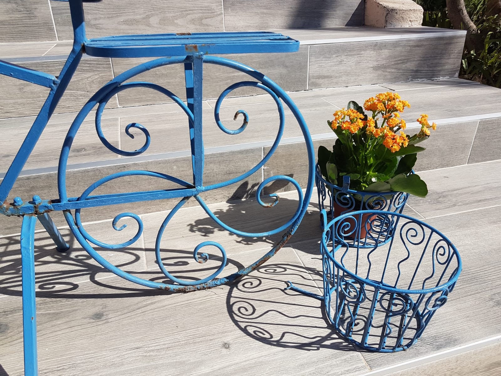 Bicycle Plant Display / Pretty Blue Plant Stand / Flower Pot - Etsy