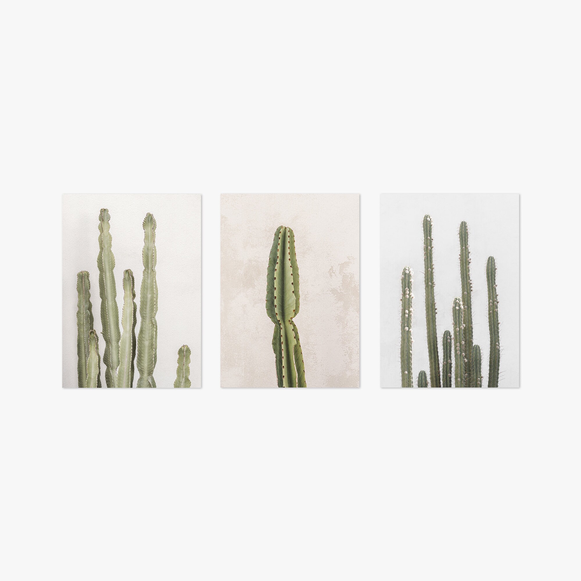 Print Set of 3 Cactus Wall Art Set of 3 Wall Art Printable | Etsy