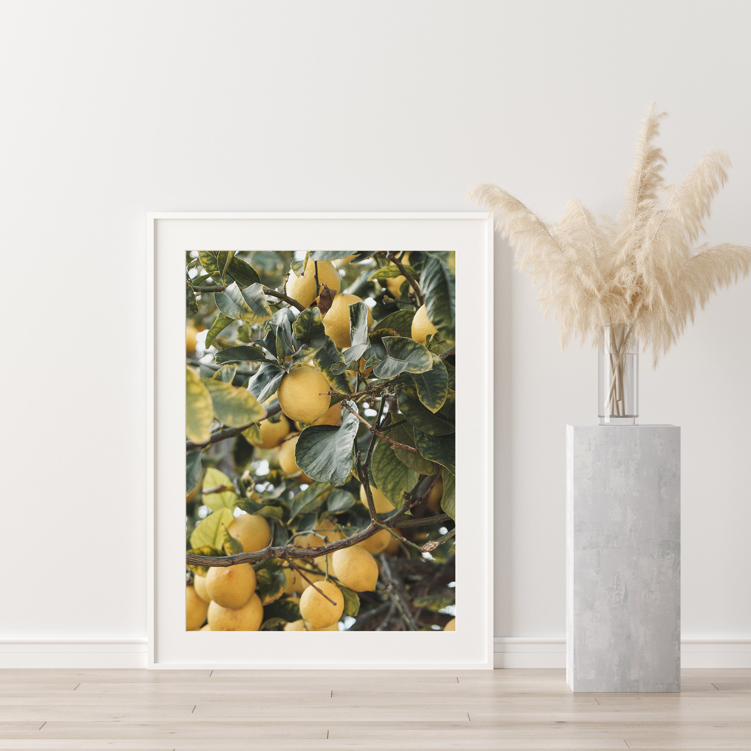 Lemon Citrus Fruit Lemon Tree Lemon Tree Wall Art Print - Etsy