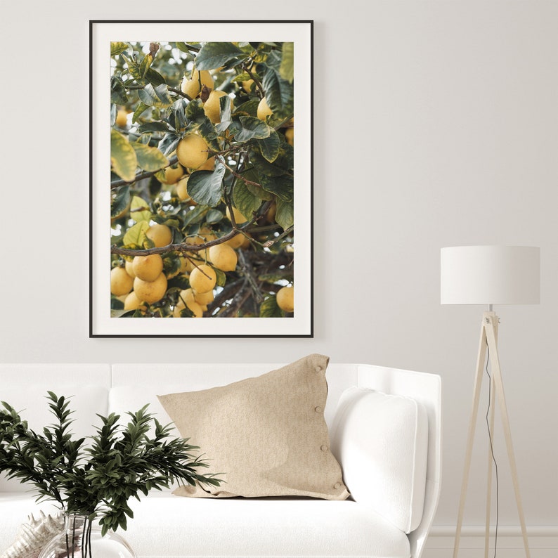 Lemon Citrus Fruit Lemon Tree Lemon Tree Wall Art Print - Etsy