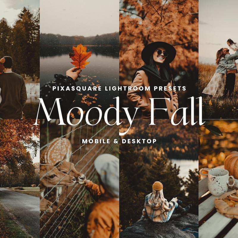 Fall Presets - Etsy