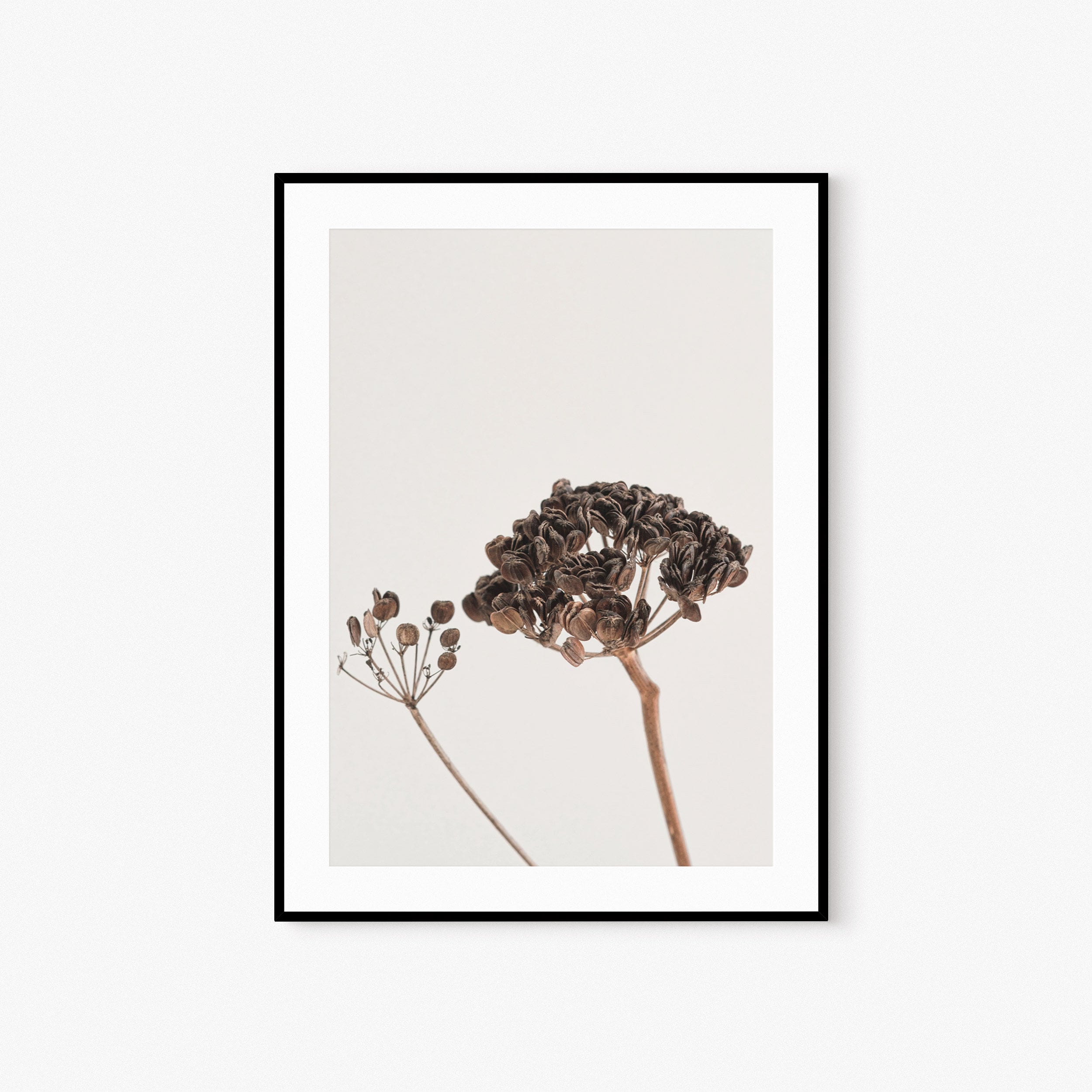 Dried Flowers Art Botanical Print Print Wall Art Digital - Etsy