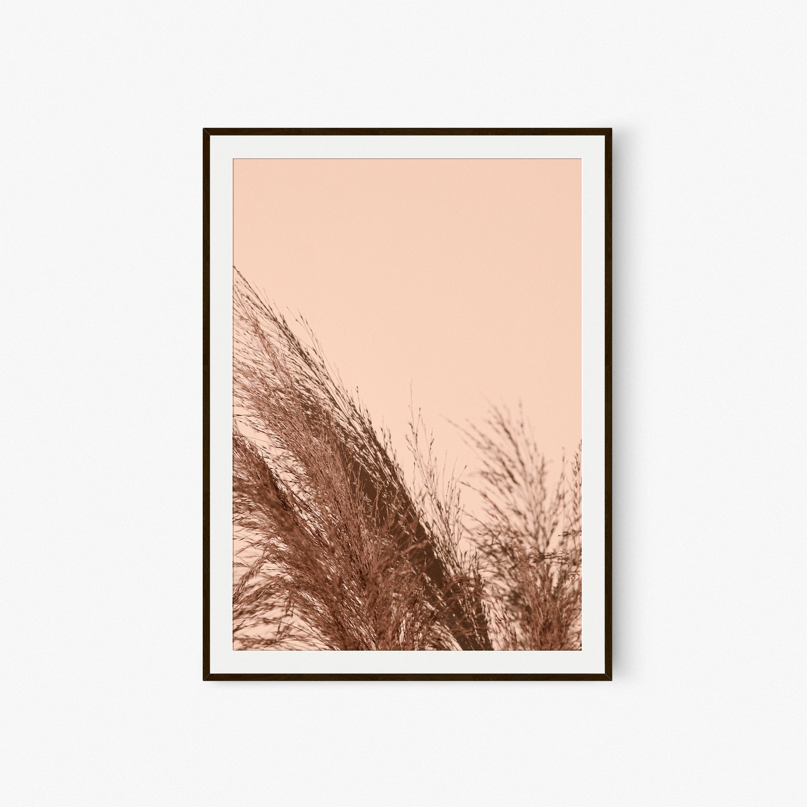 Pampas Grass Wall Art, Digital Prints, Pampas Grass Photo, Plants ...