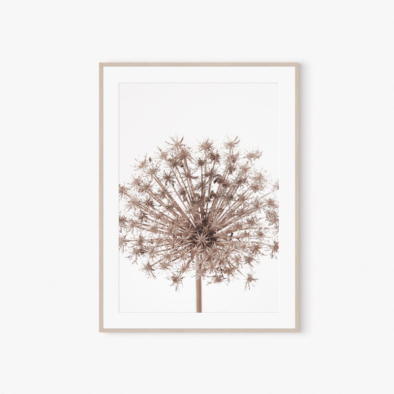 Dried Flower Print - Etsy UK