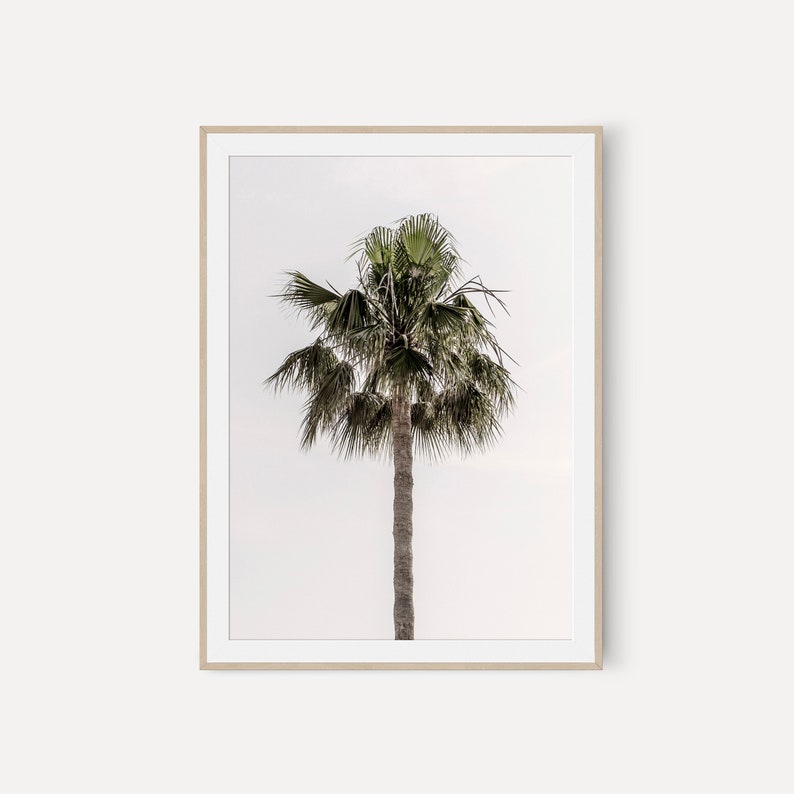 Palm Tree Prints Palm Tree Art Digital Print Tropical Art Print