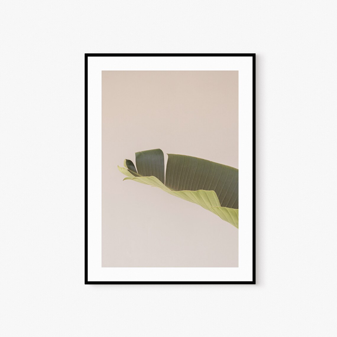 Tropical Print Palm Leaf Print Digital Print Banana Leaf Etsy