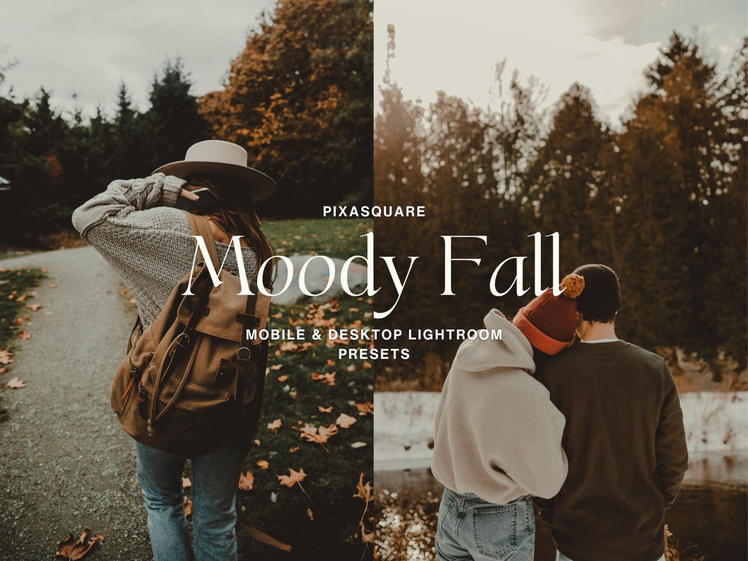 10 Moody Fall Lightroom Mobile Presets, Autumn Filters, Season Blogger ...