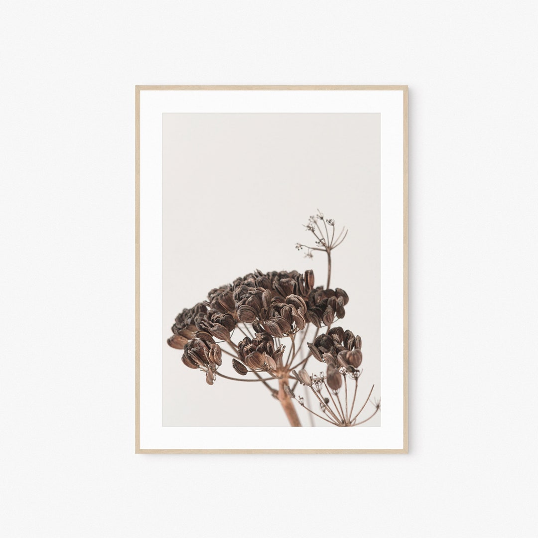 Dried Flowers Art, Botanical Print, Print Wall Art, Digital Print ...