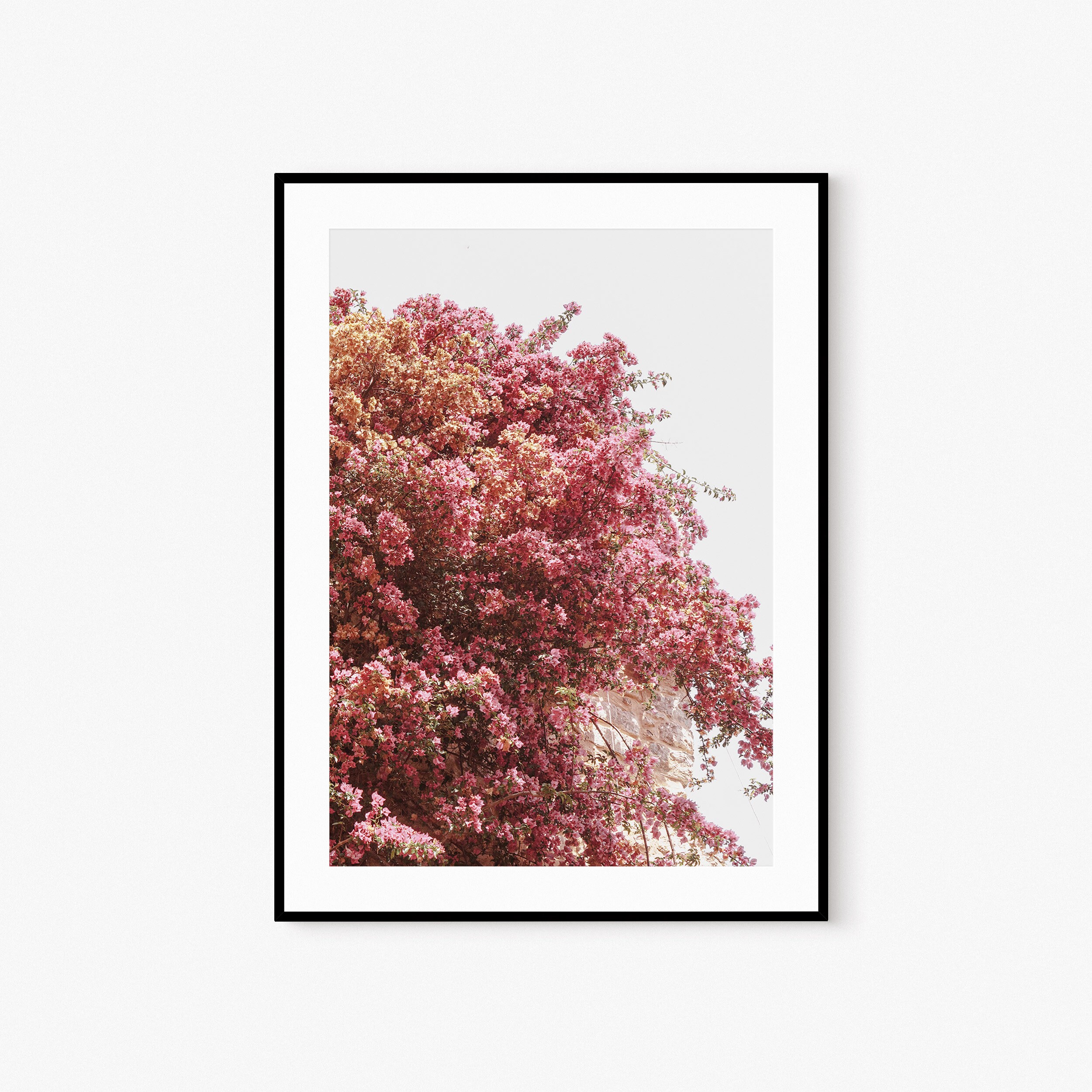 Mediterranean Bougainvillea Pink Flower Print Wall Art | Etsy