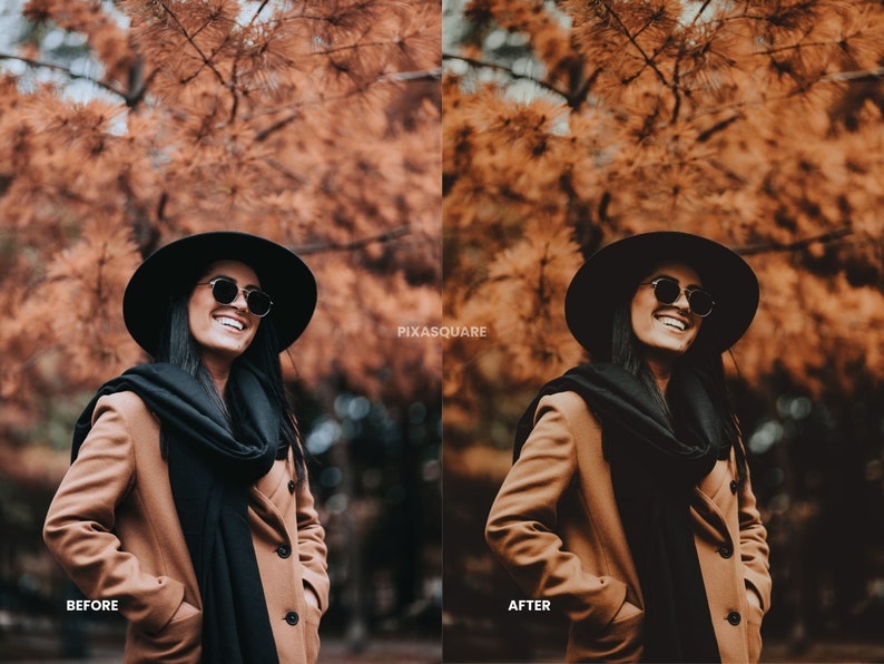 10 MOODY FALL Lightroom Mobile & Desktop Presets, Autumn Presets, Warm ...