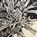 Ashen Ophidia Large Print - Etsy