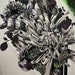 Ashen Ophidia Large Print - Etsy