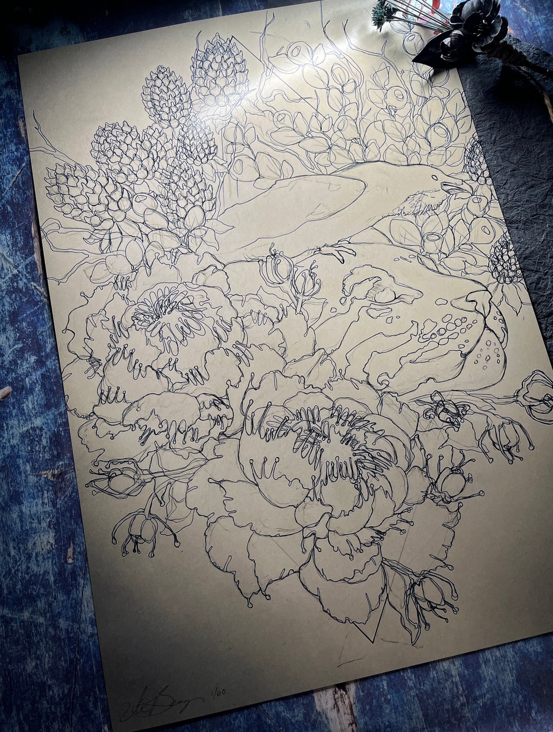 Limited Clouded Leopard Sketch Print - Etsy