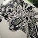 Ashen Ophidia Large Print - Etsy