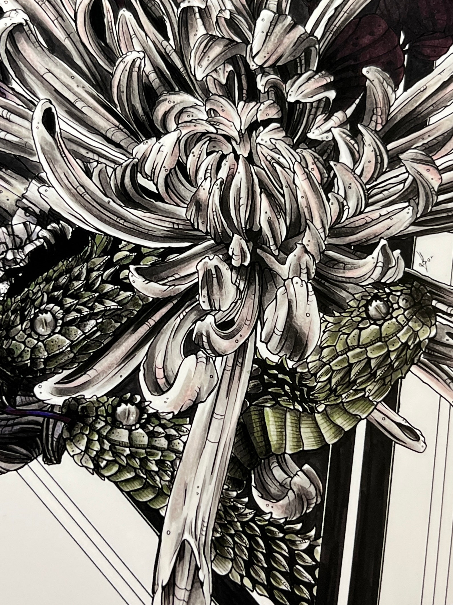 Ashen Ophidia Small Print - Etsy