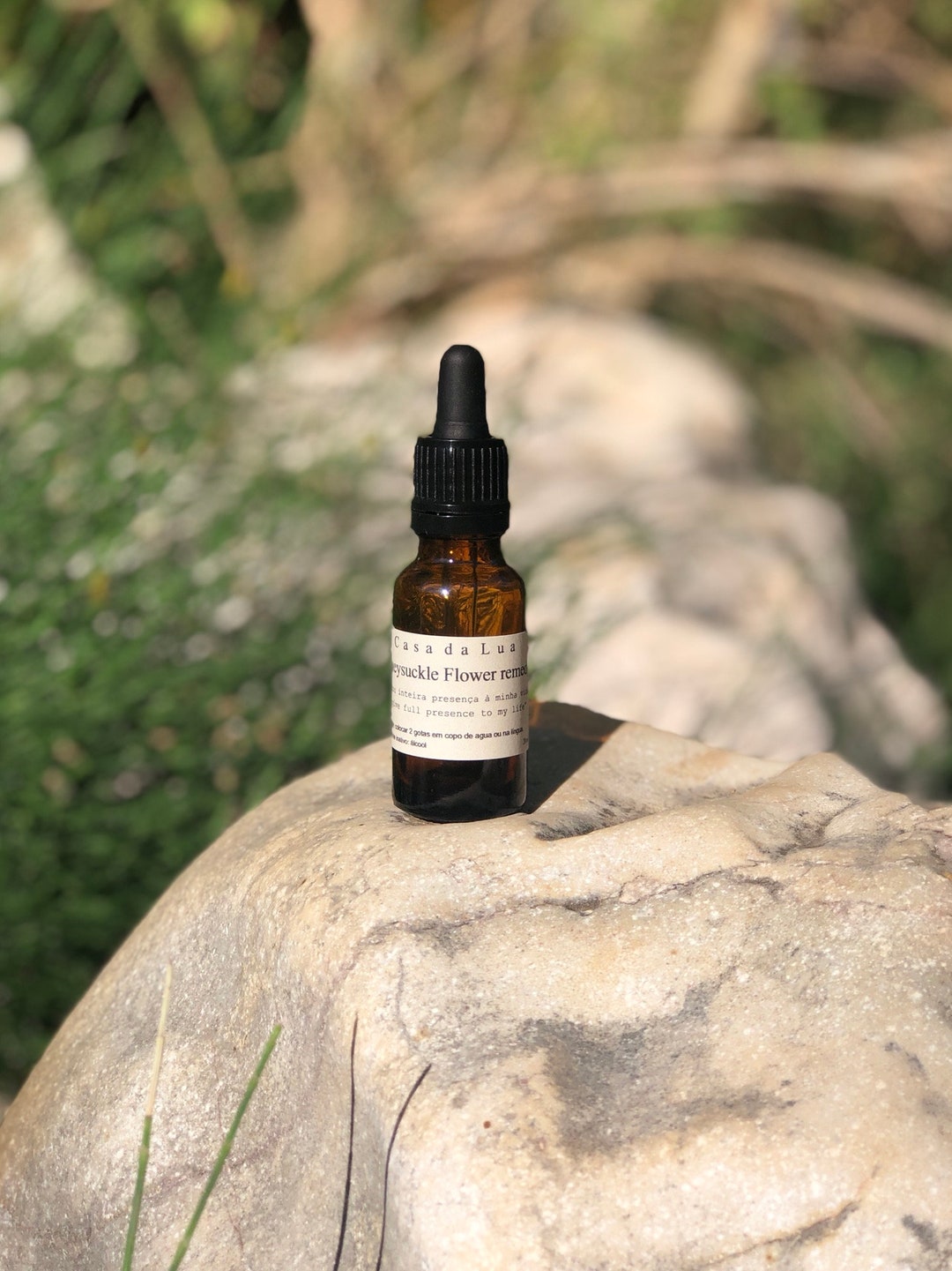 Flower Remedy Honeysuckle, Flower Essence for Nostalgia, ACCEPT and ...