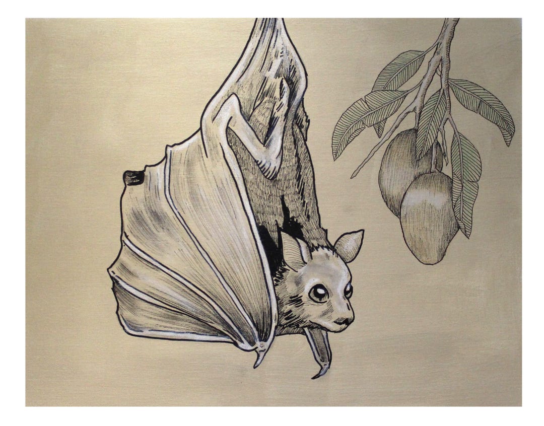 Mango Bat Print on Cardstock framing Optional 8x10in - Etsy