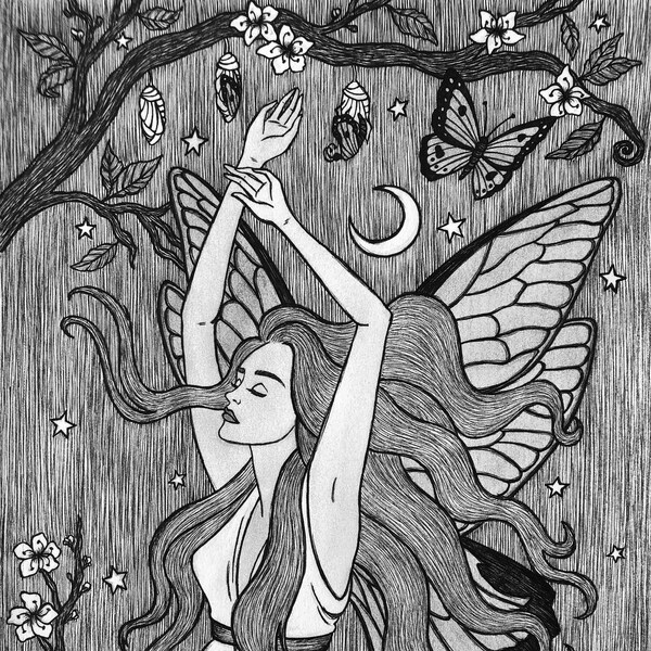 Eros Butterfly Print - Etsy