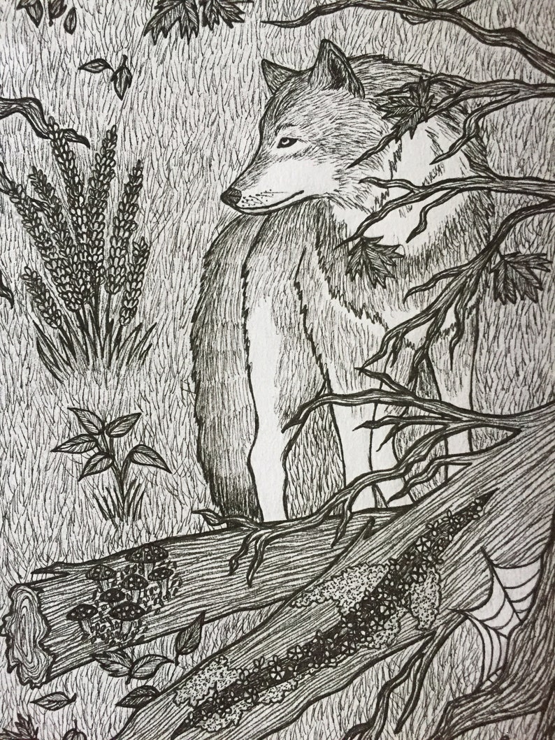 Wall Hangings The Handless Maiden Pen & Ink Print 8x10 Fairytale ...