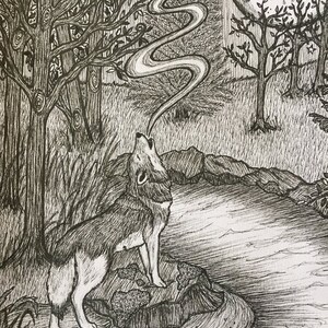 Rewilding With Grandmother Moon Pen Ink 5x7 She-wolf Wicca Witchy Wolf ...