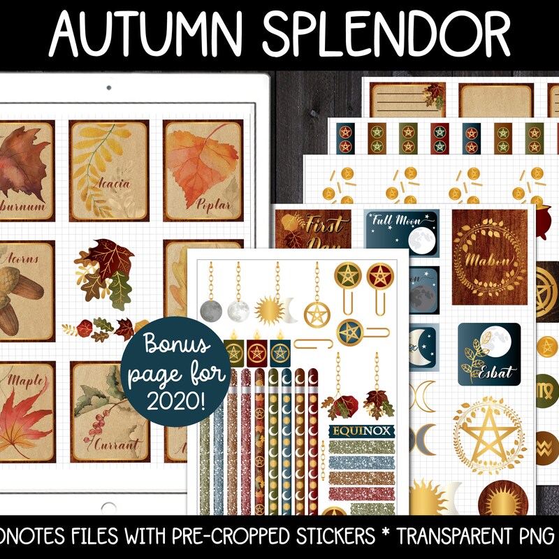 CelestialSpiral - Etsy