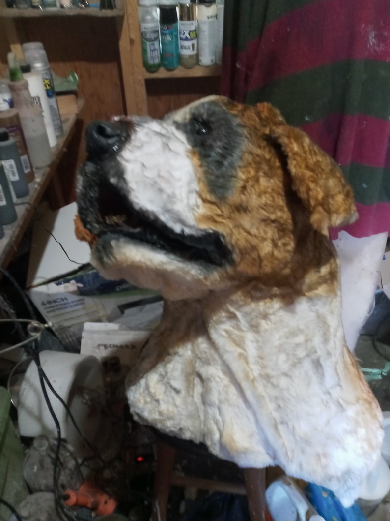 Cujo Taxidermy Style Wallhanger - Etsy