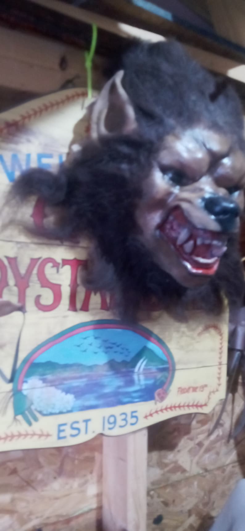 Foamed Latex Werewolf Head: Halloween Wall-hanger (READY TO SHIP) - Etsy