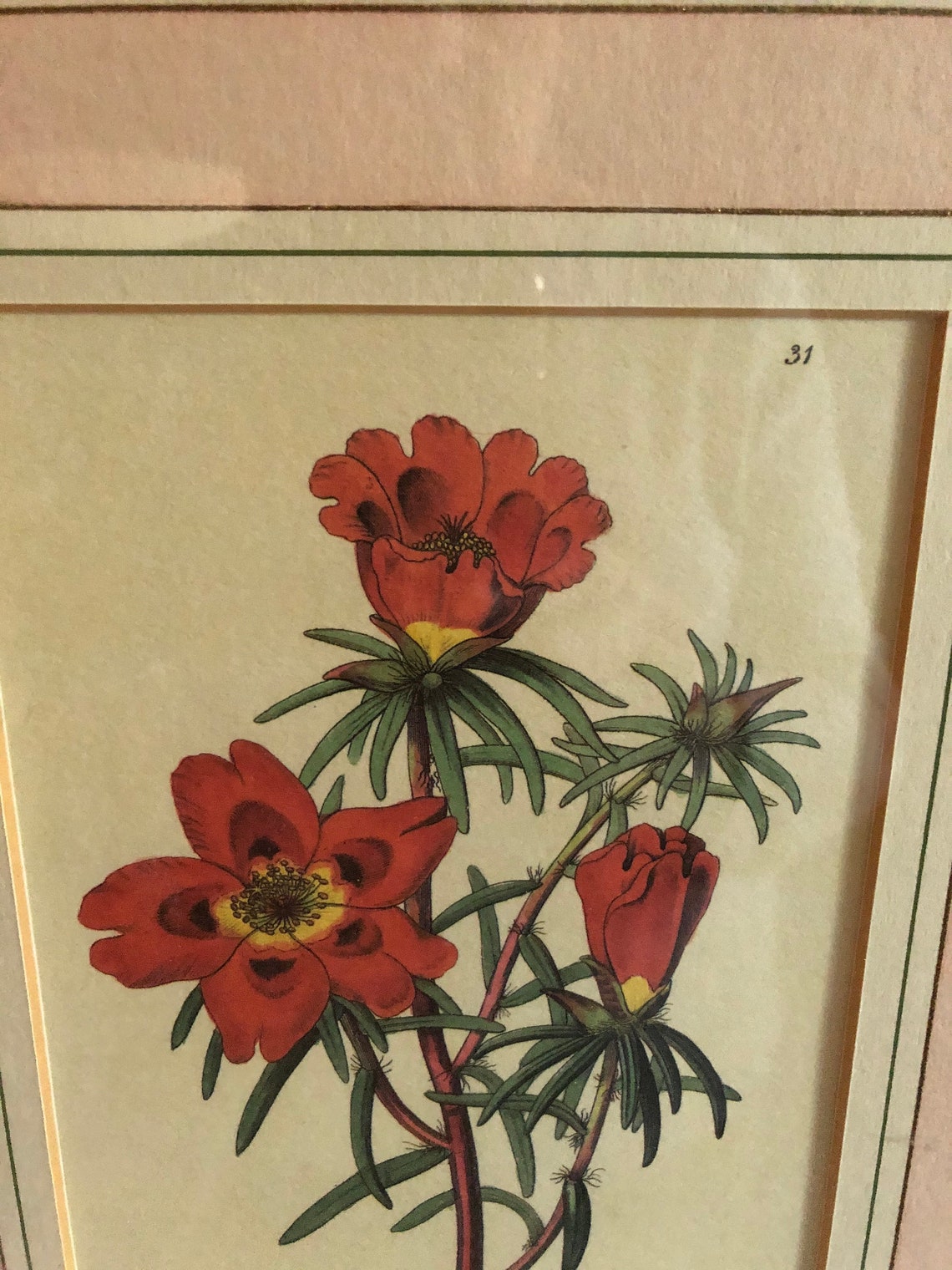 Antique Botanical Flower Engraving - Etsy