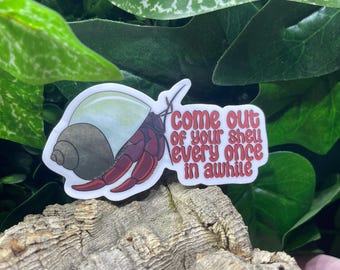 Hermit Crab Sticker - Etsy