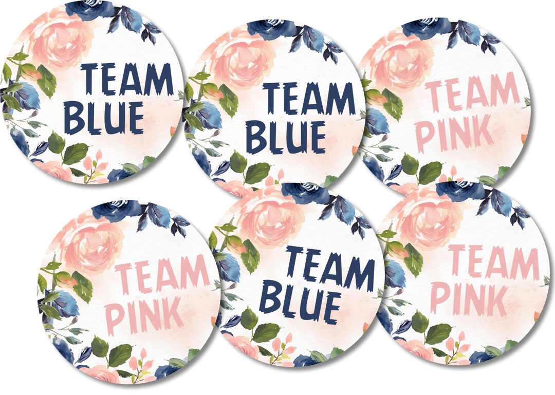 Gender Reveal Stickers, Team Pink, Team Blue Gender Reveal Party ...