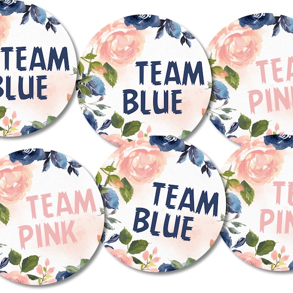 Team Pink Team Blue - Etsy