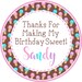 Ice Cream Birthday Party Stickers or Favor Tags, Ice Cream Party Favor ...