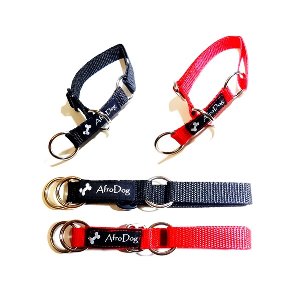 Dog collars with no metal store