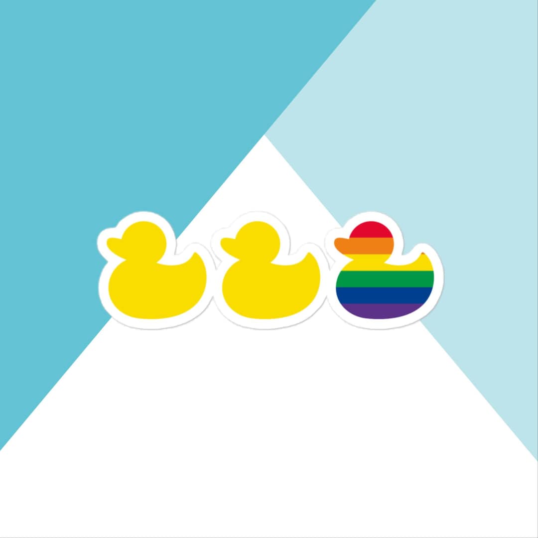 Duck Duck Gay Duck Pride Rainbow LGBTQIA+ Vinyl Sticker - Etsy Australia