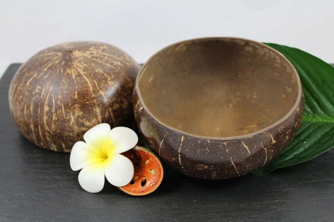Coconut Bowl Coco Cup Natural Coconut as a Fruit Bowl - Etsy